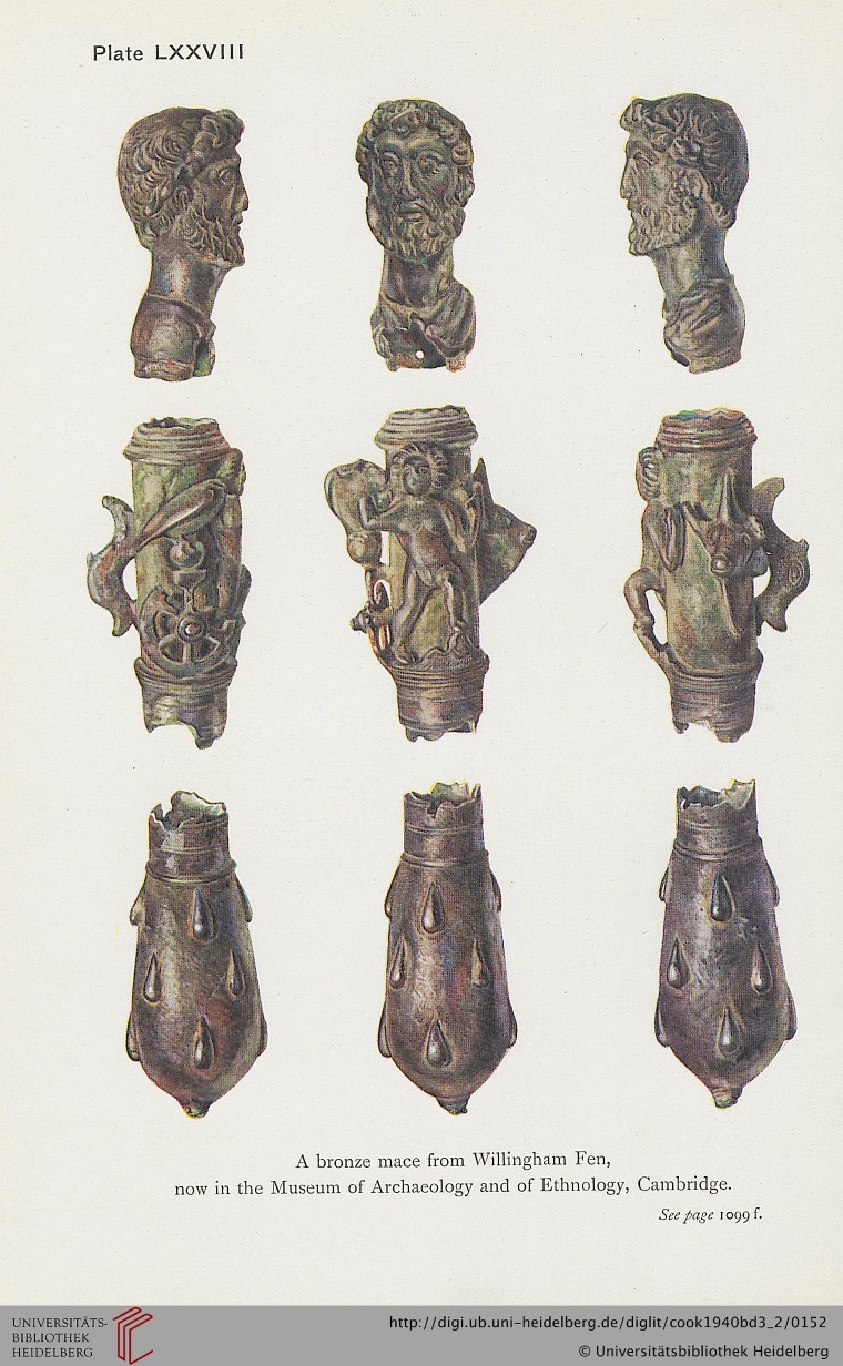 Stejar - Simbolistica.com