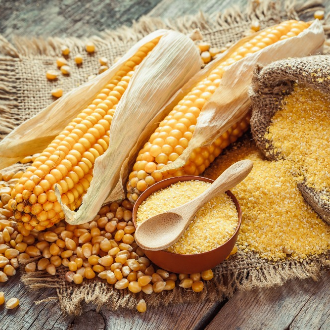 Porumb - Simbolistica.com